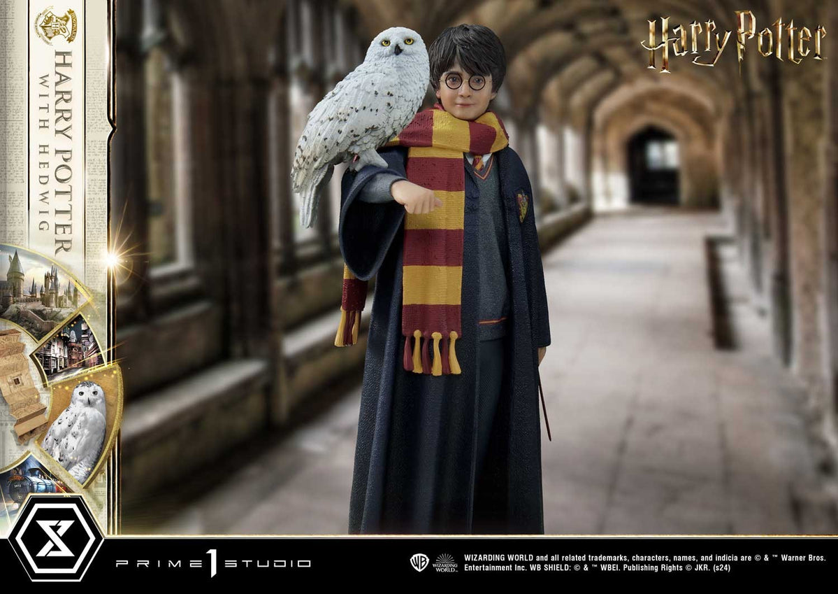 Harry Potter: Harry Potter with Hedwig — Secret Compass
