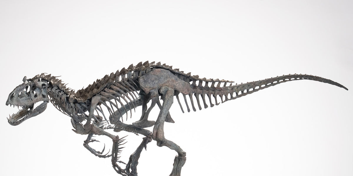 Jurassic World Fallen Kingdom (2018): Indominus Rex Skeleton Bronze ...