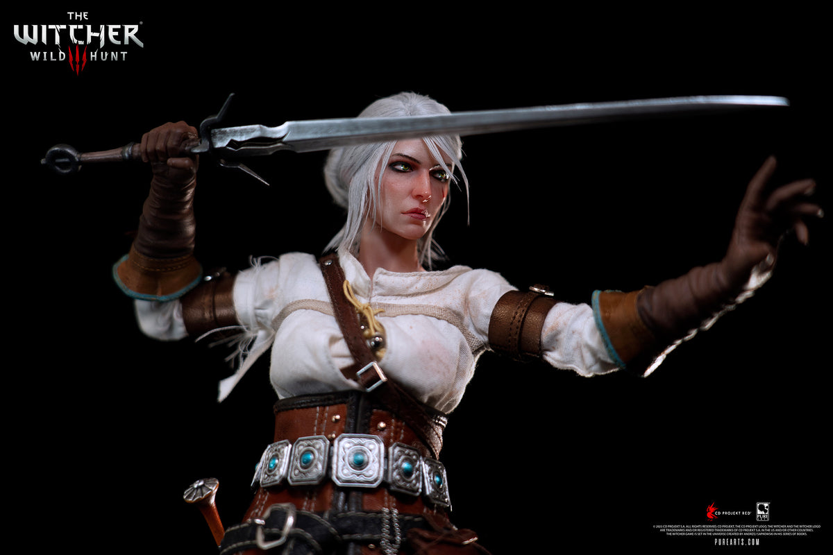 The Witcher 3 Wild Hunt: Ciri of Cintra — Secret Compass